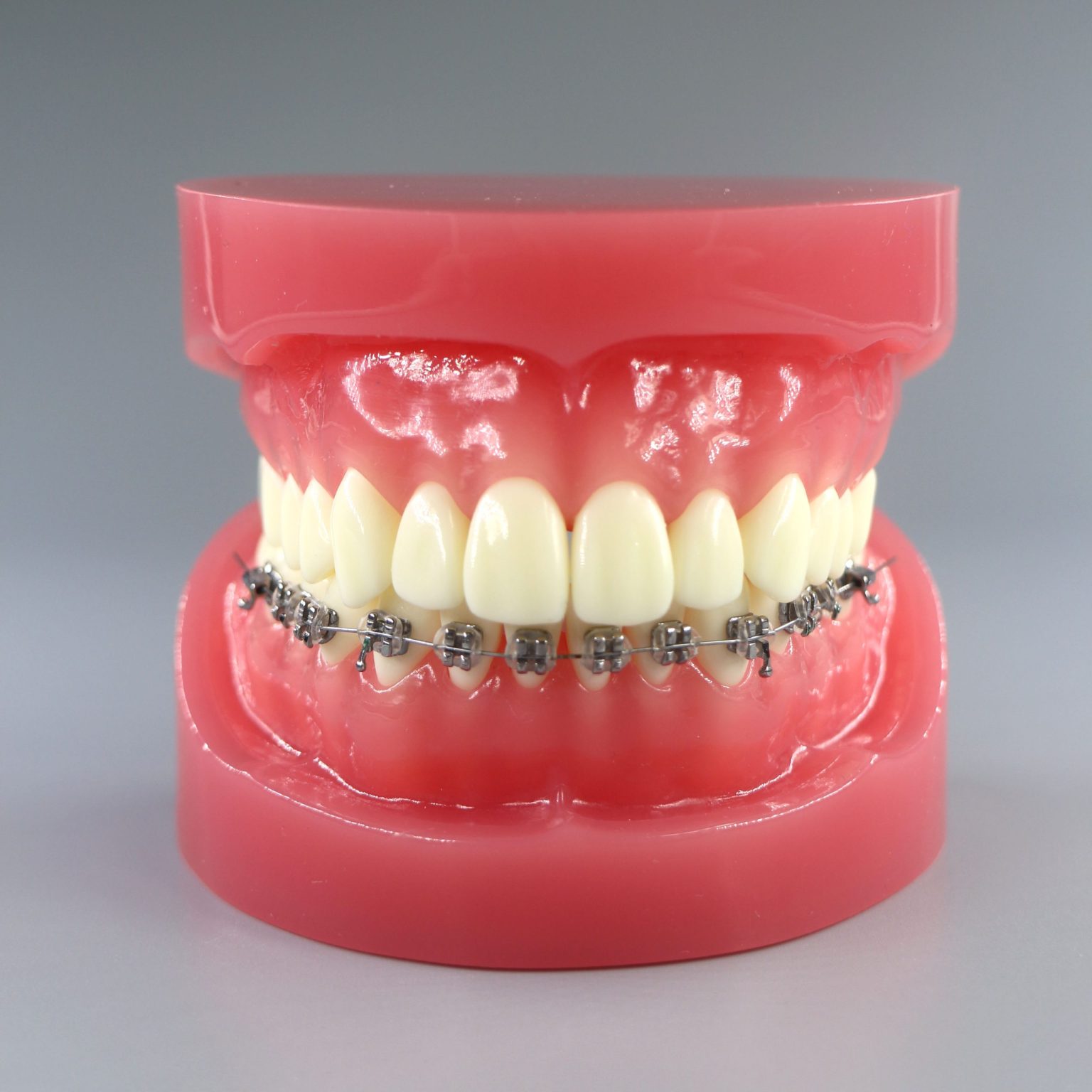Orthodontic training Typodont – Jojenmodel-dental model teeth,dental ...