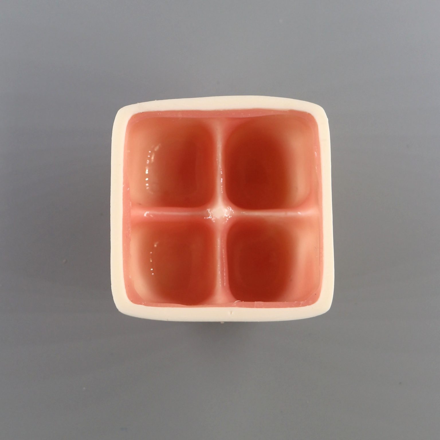 Jojenmodel-dental model teeth,dental simulation, dental phantom head ...