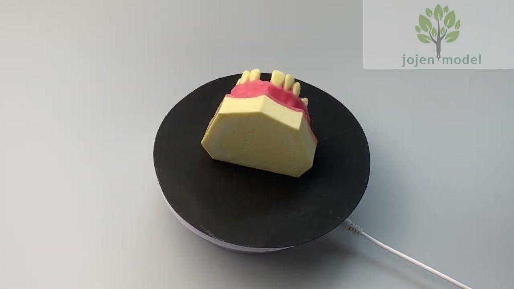 Demo implant models dental,implant models dental China Best Factory ...