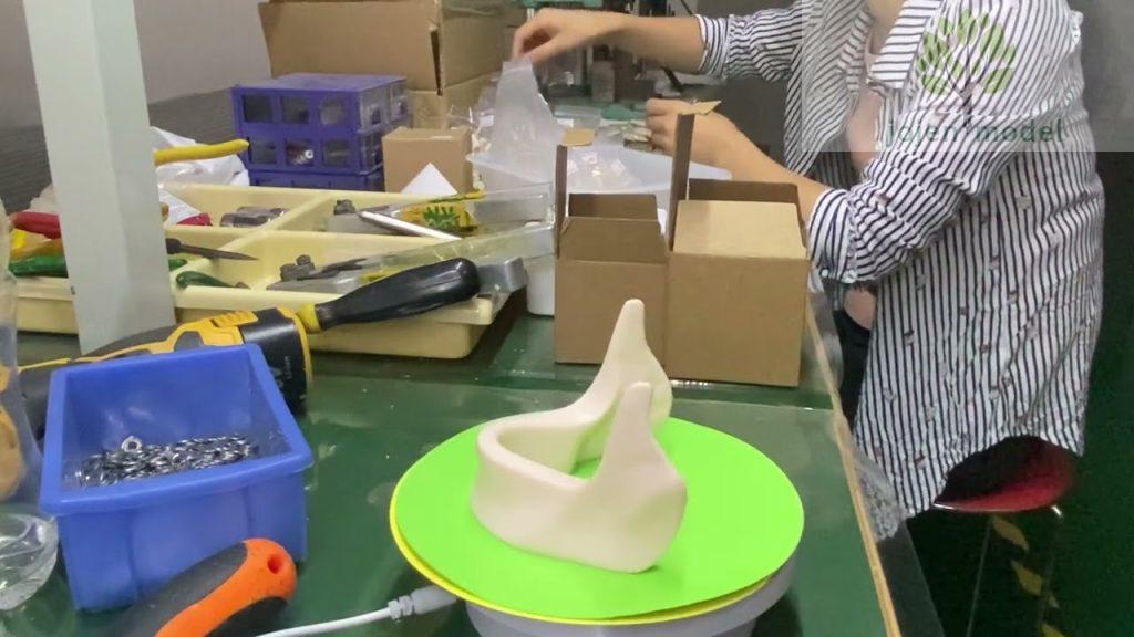 Dental Patient Education models customize,Dental bridge model,Dental ...
