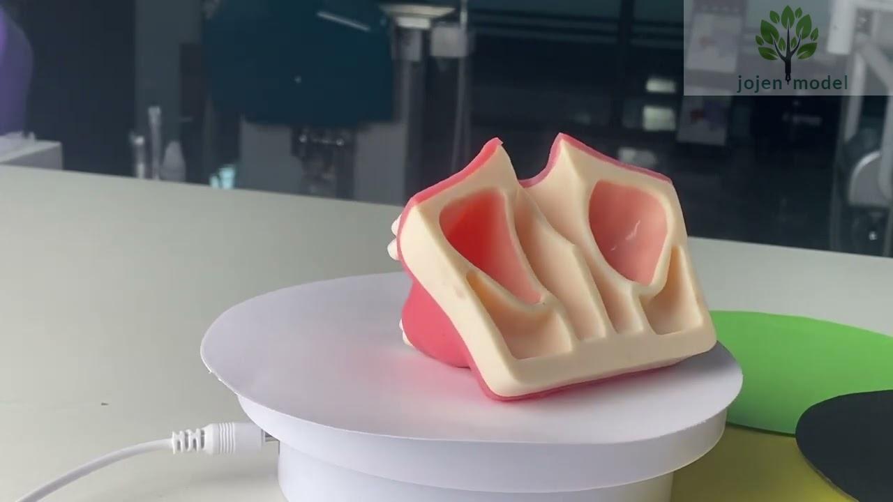 Demo implant models dental,implant models dental China Best Factory ...