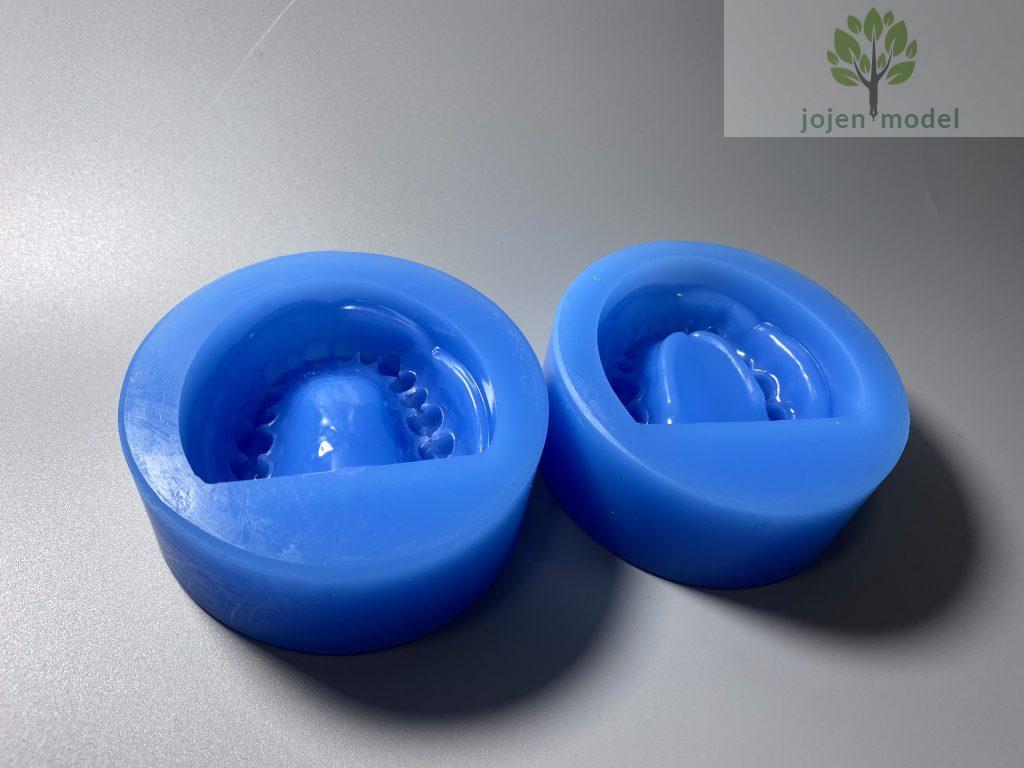 Dental Plaster Model Mold Mould of Edentulous Jaw Complete Cavity Block ...