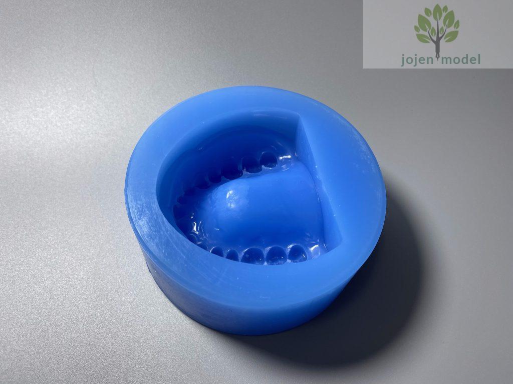 Dental Plaster Model Mold Mould of Edentulous Jaw Complete Cavity Block ...