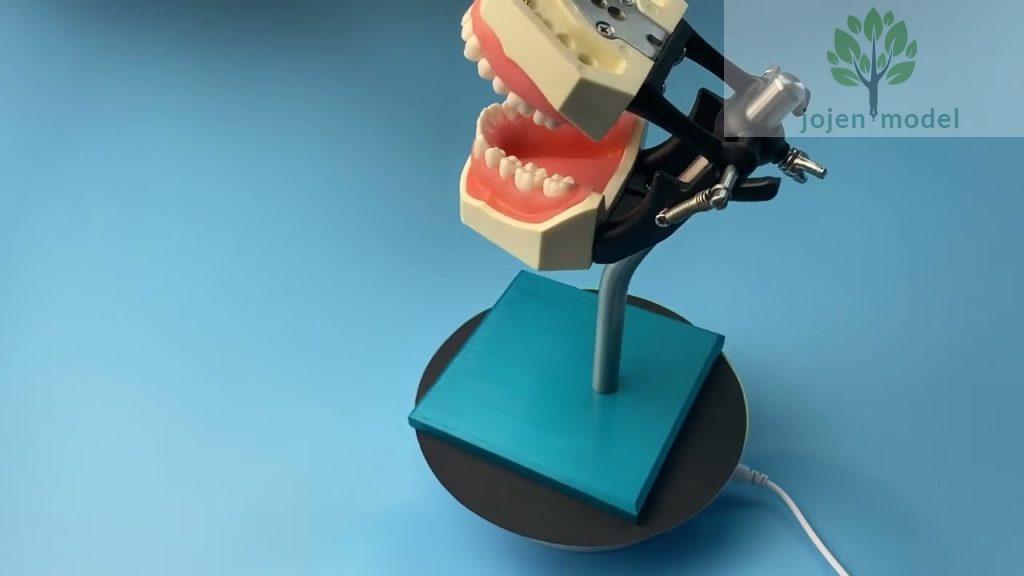 Ligature Tying Training Typodont 28 Teeth,Orthodontic typodont kit ...