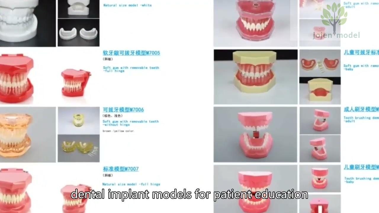 Prep Teeth model wholesaler Chinese, Prep Teeth model Custom Made, Prep ...