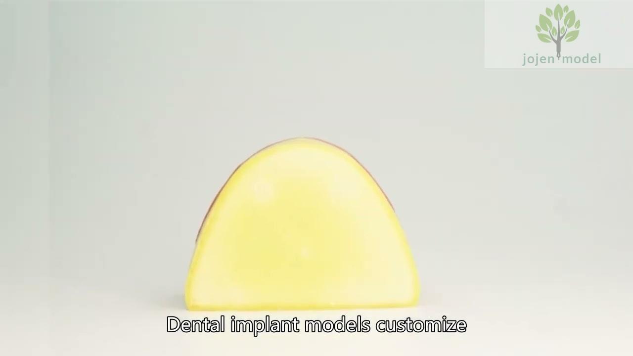 Denture model High Grade, Study models for dental training Cheap, Study ...