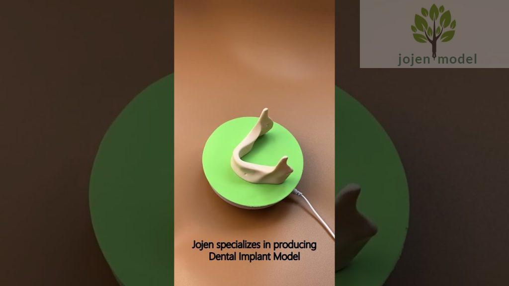 dental implants model custom order,Drilling Practice Model-jaw,implant ...